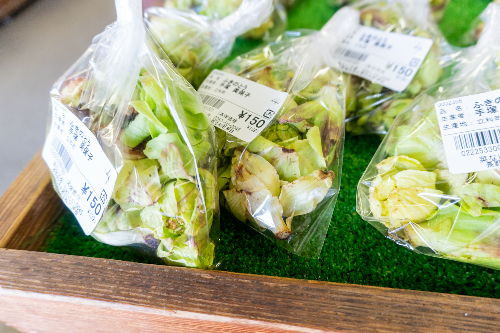 2025年度オープン！